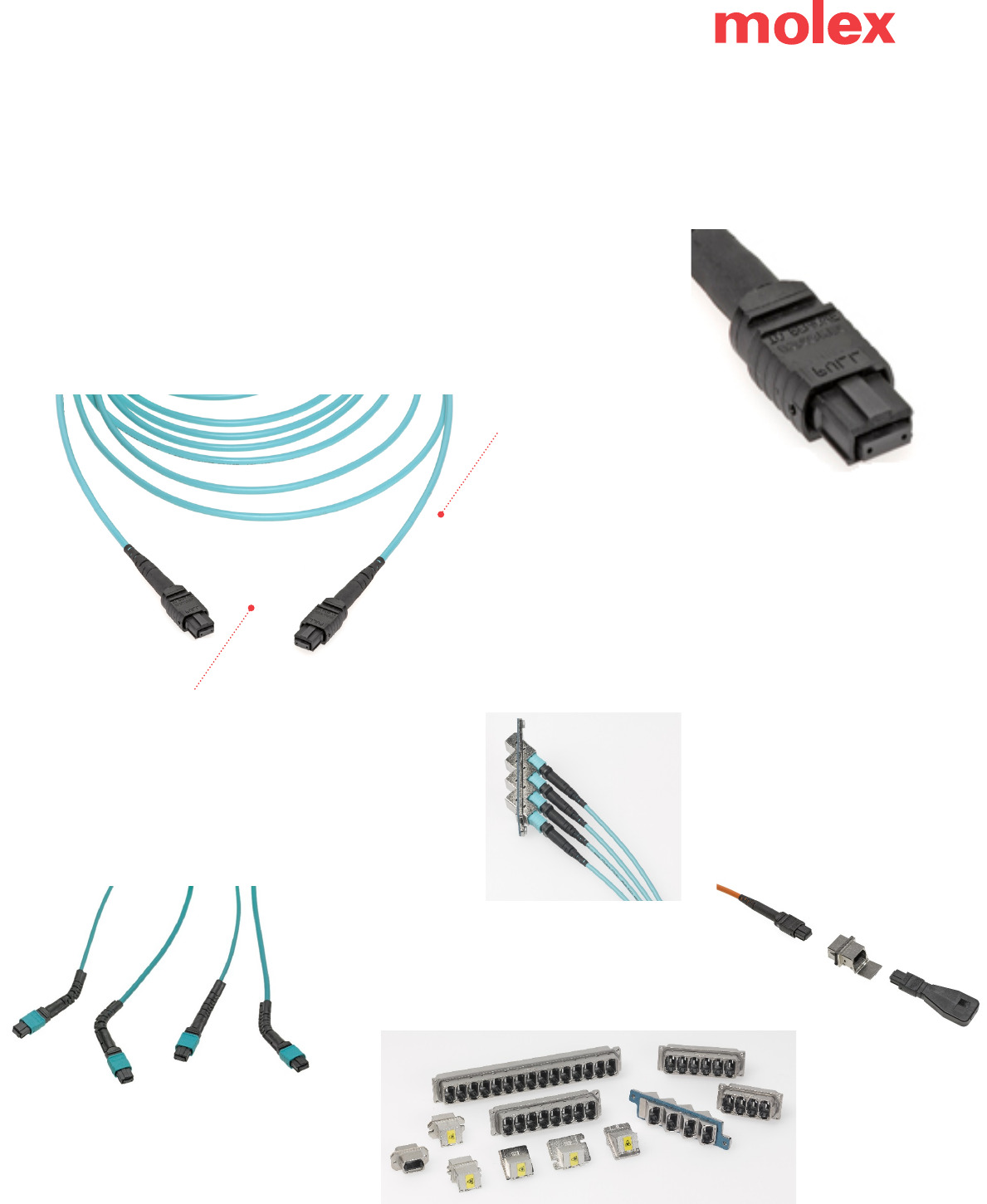 MTP/MPO Series by Molex Datasheet | DigiKey